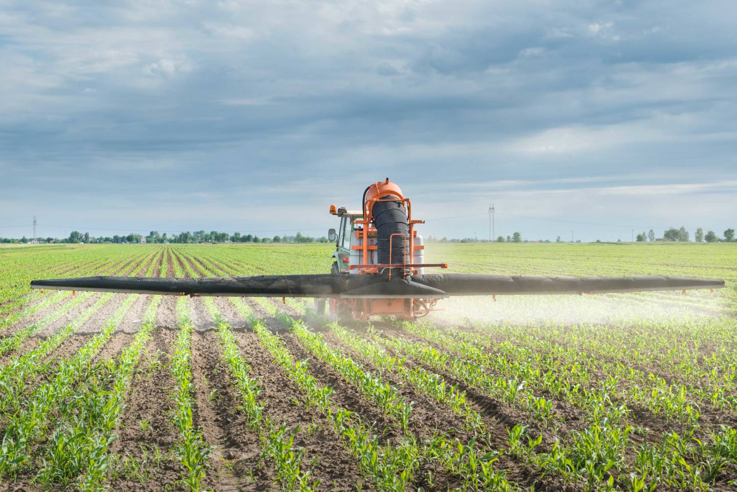 New Study Confirms Compelling Link Between Roundup and Increased Risk ...